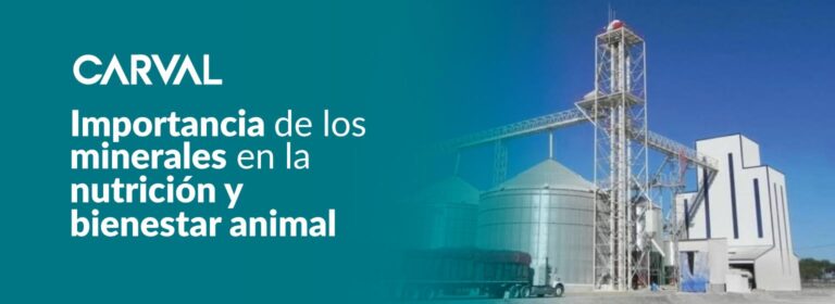 IMPORTANCIA DE LOS MINERALES EN LA NUTRICIÓN Y BIENESTAR ANIMAL | Carval
