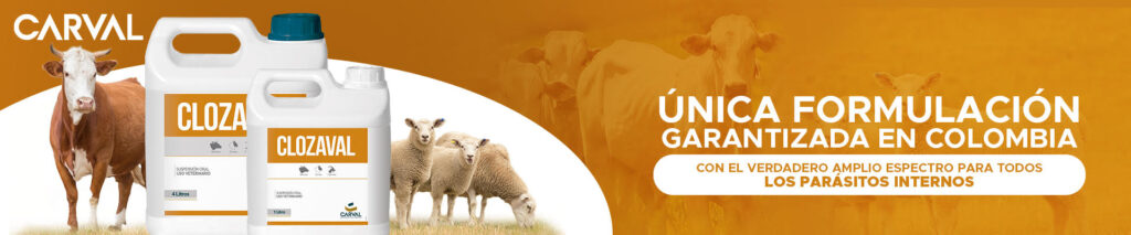 Clozaval | Carval