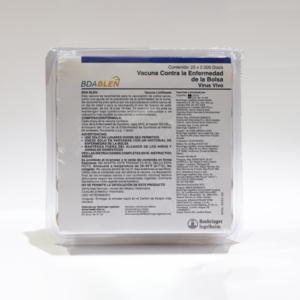 Vacunación avícola | Carval