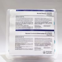 Vacunación avícola | Carval