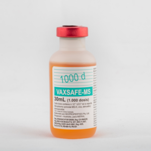 Vacunación avícola | Carval