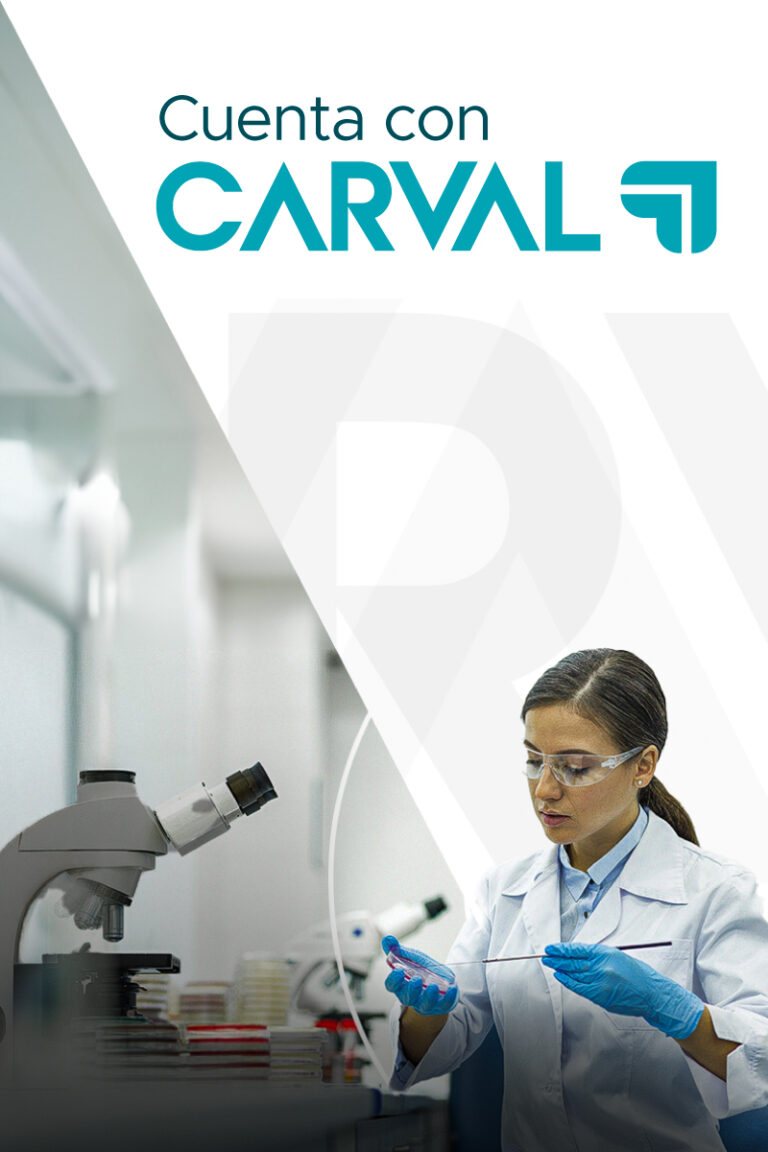 Cuenta con nosotros Archivo | Carval